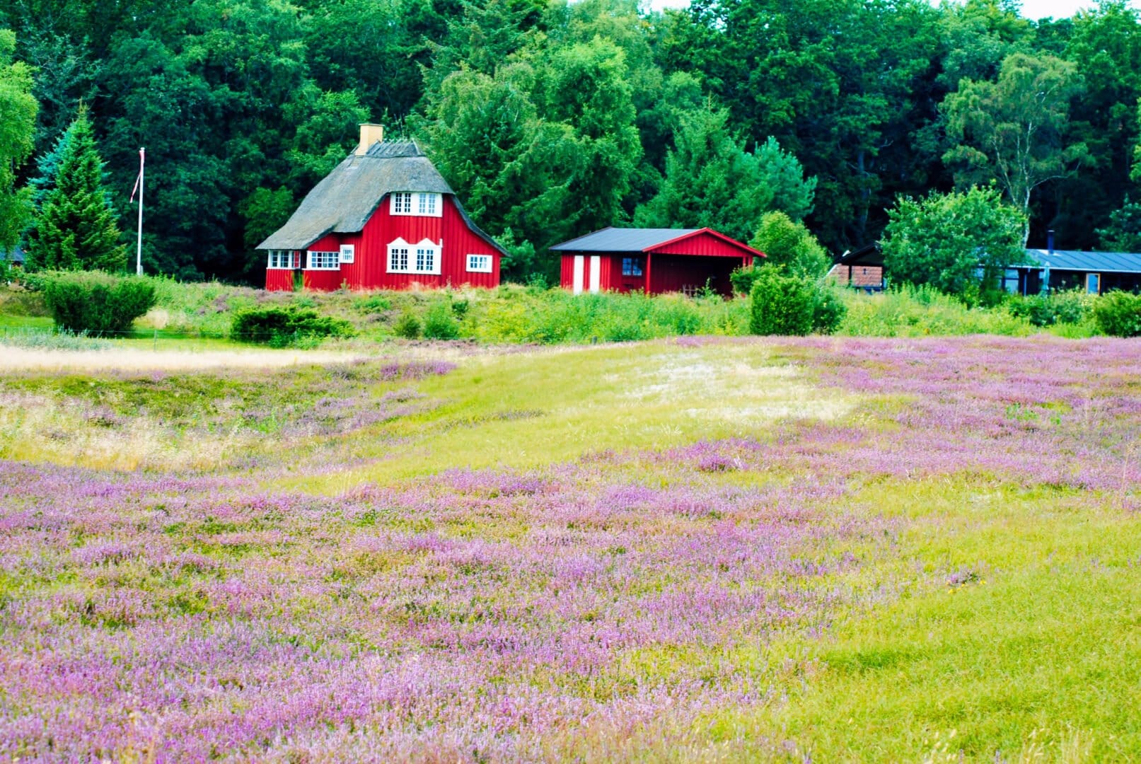 Danmarks Midtpunkt - Rørvig Guide